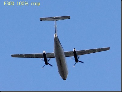 Nothing Special: F300EXR – Review Part 20 – Birds and Planes